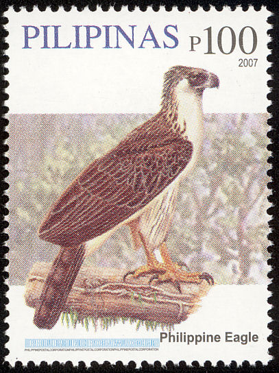 Philippine Eagle National Symbol 1054